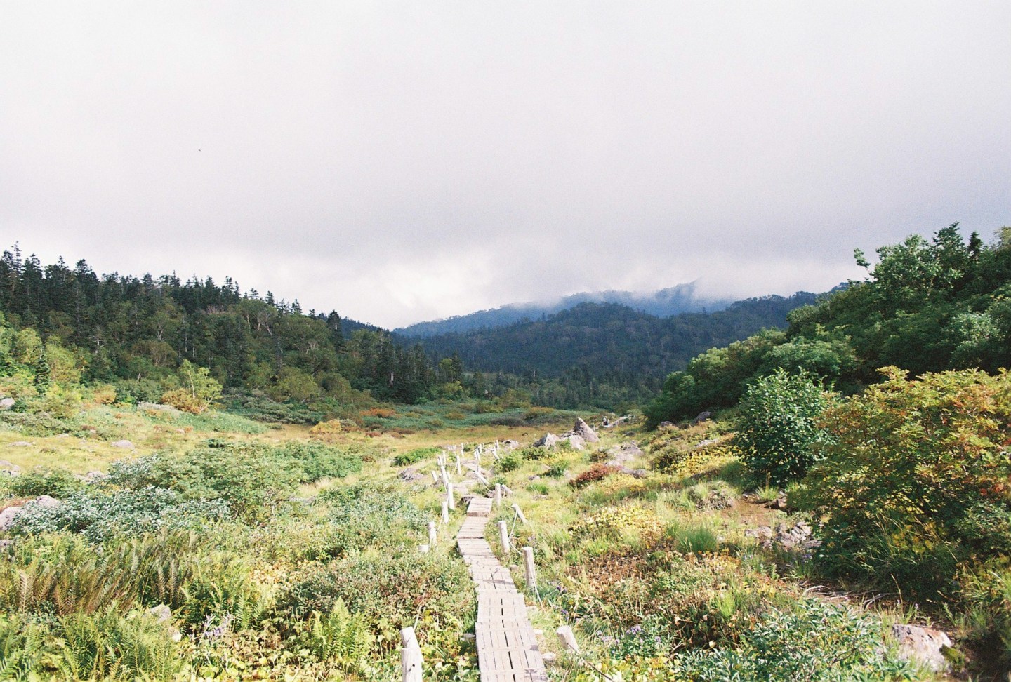 Mount Hiuchi, Mount Myoko – It is not everything!